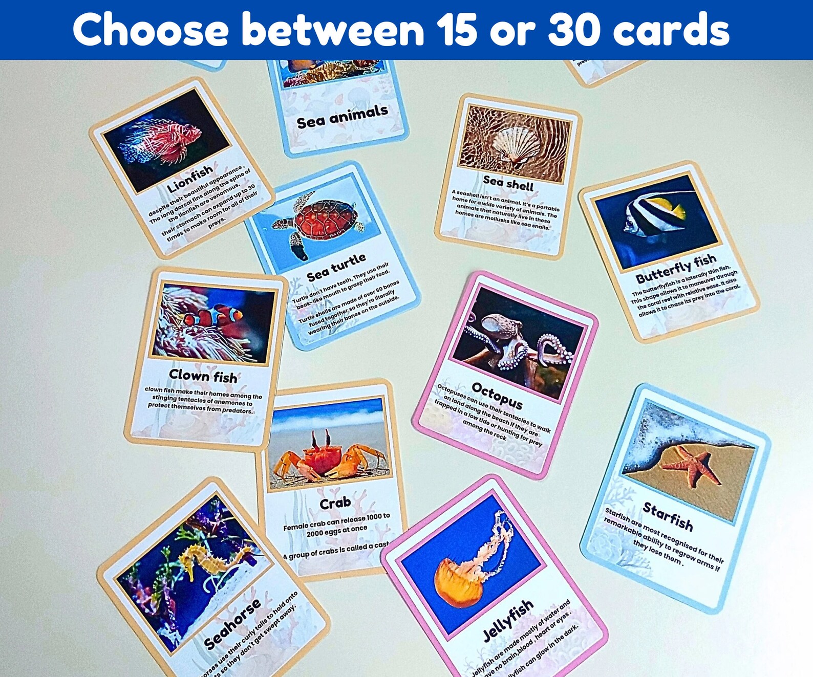 Ocean Facts Flash Cards | Sea Animals Flashcards With Real Pictures ...