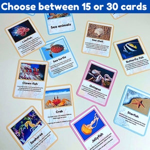 Ocean Facts Flash Cards | Sea Animals Flashcards With Real Pictures ...