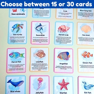Sea Animals Facts Flashcards | Ocean Animals | Montessori Flashcards ...