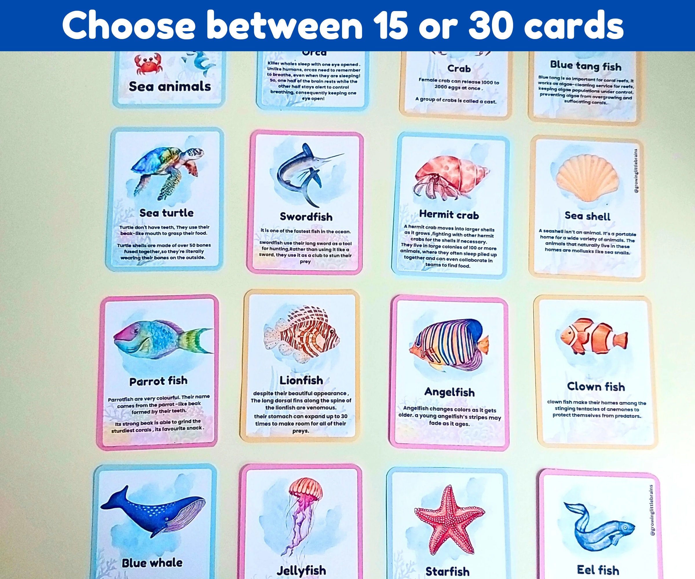 Sea Animals Facts Flashcards | Ocean Animals | Montessori Flashcards ...