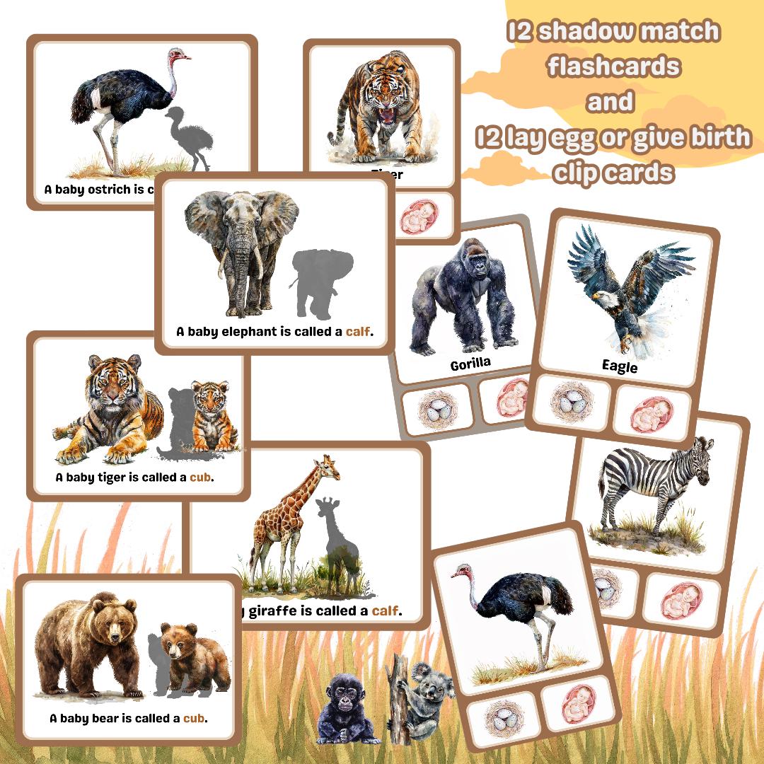 In the Wild Animals and Their Babies Learning Pack | Spring | Activity ...
