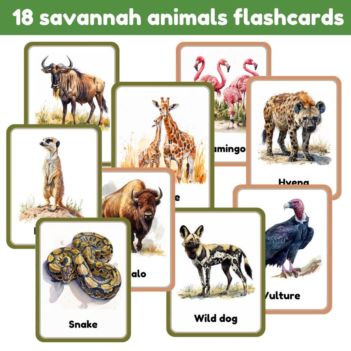 Savannah Animals Learning Pack | Set of 18 Flashcards | Pattern Match ...