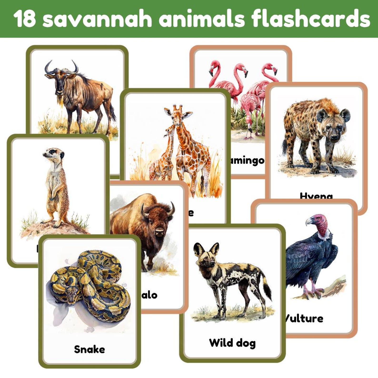 Savannah Animals Learning Pack | Set of 18 Flashcards | Pattern Match ...