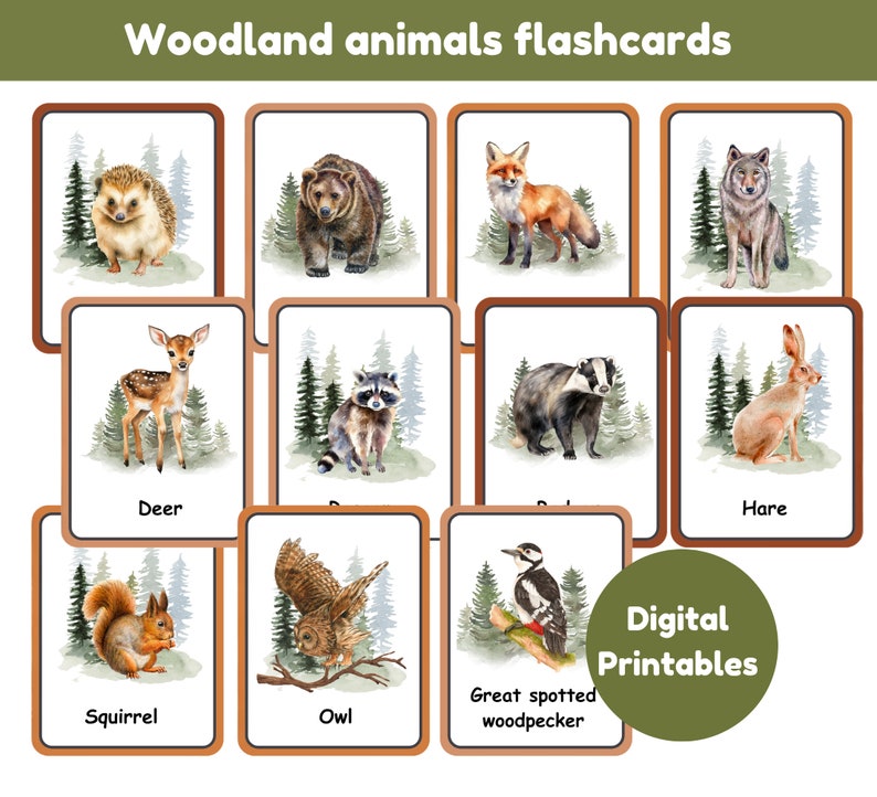 Woodland Animals Flashcards | a Set of 15 Cards Plus a Beautiful Co Era ...