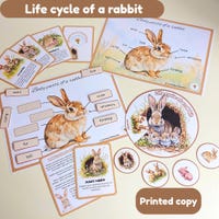 Rabbit Life Cycle Printables: Nature Learning Activities (PDF) - Etsy