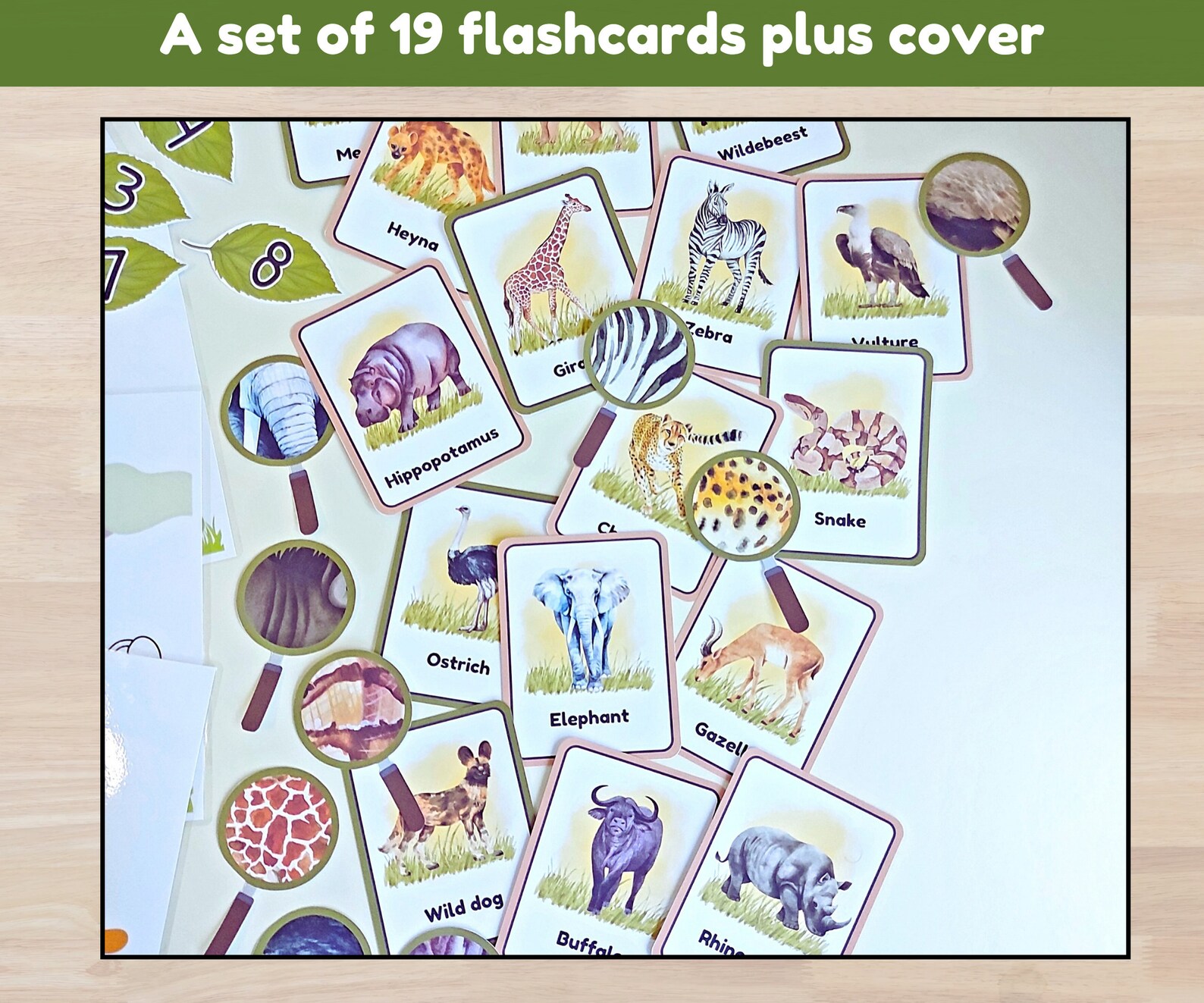 Savannah Animals Bundle| 19 Flashcards Plus Cover |19 Animals Patterns ...