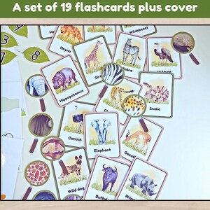 Savannah Animals Bundle| 19 Flashcards Plus Cover |19 Animals Patterns ...