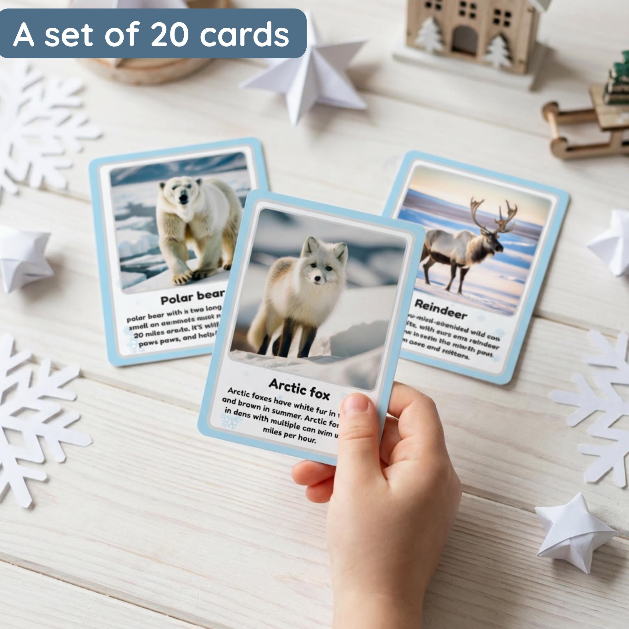 Polar Animals Facts Flashcards With Real Pictures | a Set of 20 ...