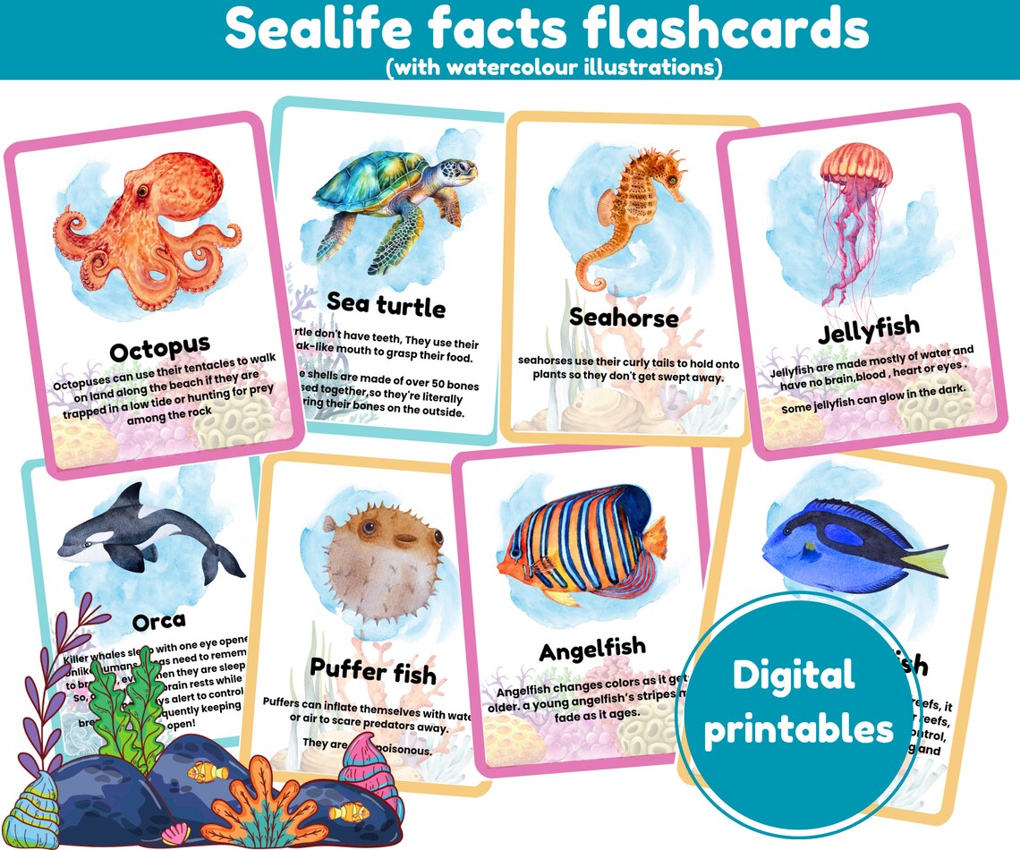 Sea Animals Facts Flashcards | Ocean Animals Flashcards | Sealife ...