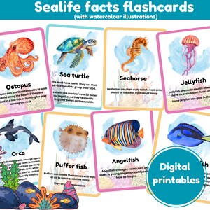Sea Animals Facts Flashcards | Ocean Animals Flashcards | Sealife ...
