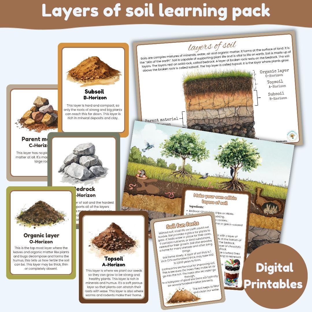 Layers of Soi Learning Pack | Flashcards | Facts and Edible Recipe ...