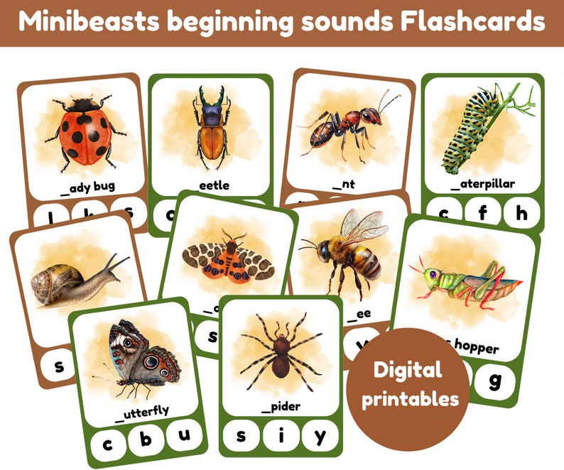 Minibeasts Phonics Flashcards | Beginning Sounds Flashcards | Bugs ...