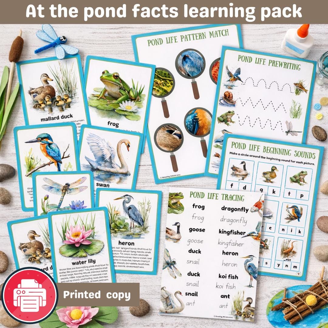 Pond Life Learning Pack for Kids | Pond Animals Flashcards & Activities ...