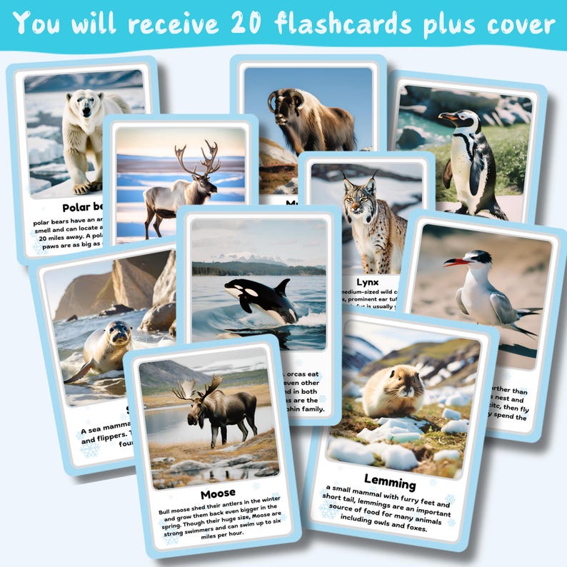 Polar Animals Facts Flashcards | a Set of 20 Flashcards | Arctic ...