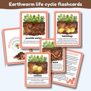 Life Cycle of an Earthworm Learing Pack | Charts, Wheel and Flash Cards ...