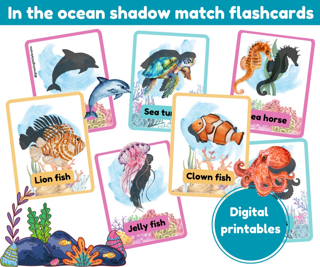In the Ocean Puzzle Flash Cards | Sealife Shadow Matching Flash Cards ...
