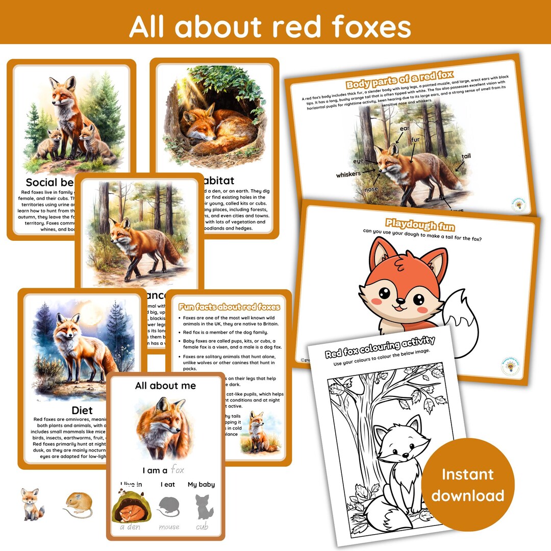 All About Red Foxes Learning Pack | Fox | Woodland Animals | Flashcards ...