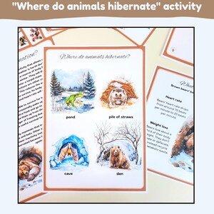 Hibernation Learning Pack | Winter | 20 Flashcards | A4 Posters and ...