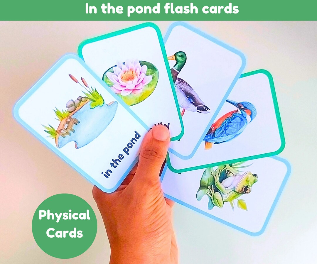 In the Pond Flash Cards | 20 Flash Cards | Pond Life Flash Cards ...