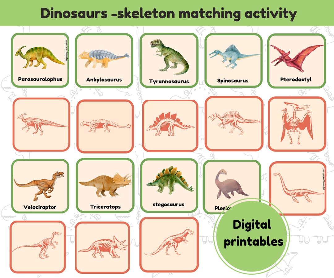 Dinosaurs Skeleton Matching Activity | Dinosaurs Learning Activity | 18 ...