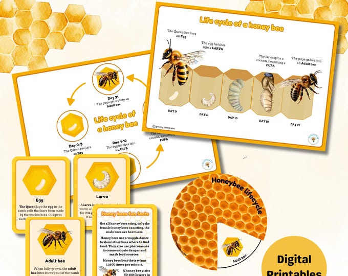 Beekeeper Honey Farm Dramatic Play Set: Printable Pretend Play (PDF ...