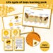 Life Cycle of a Mallard Duck Learing Pack | Wheel and Flashcards | Duck ...