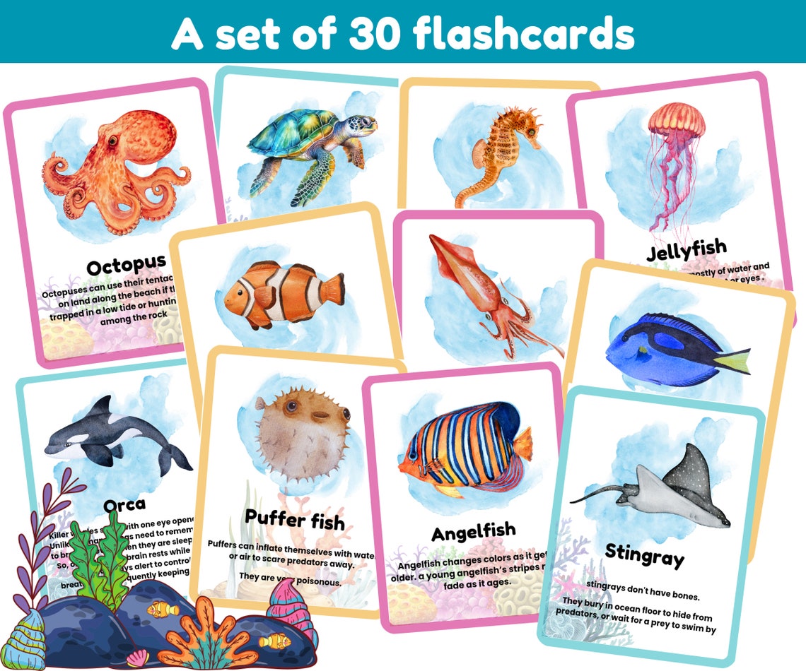 Sea Animals Facts Flashcards | Ocean Animals Flashcards | Sealife ...