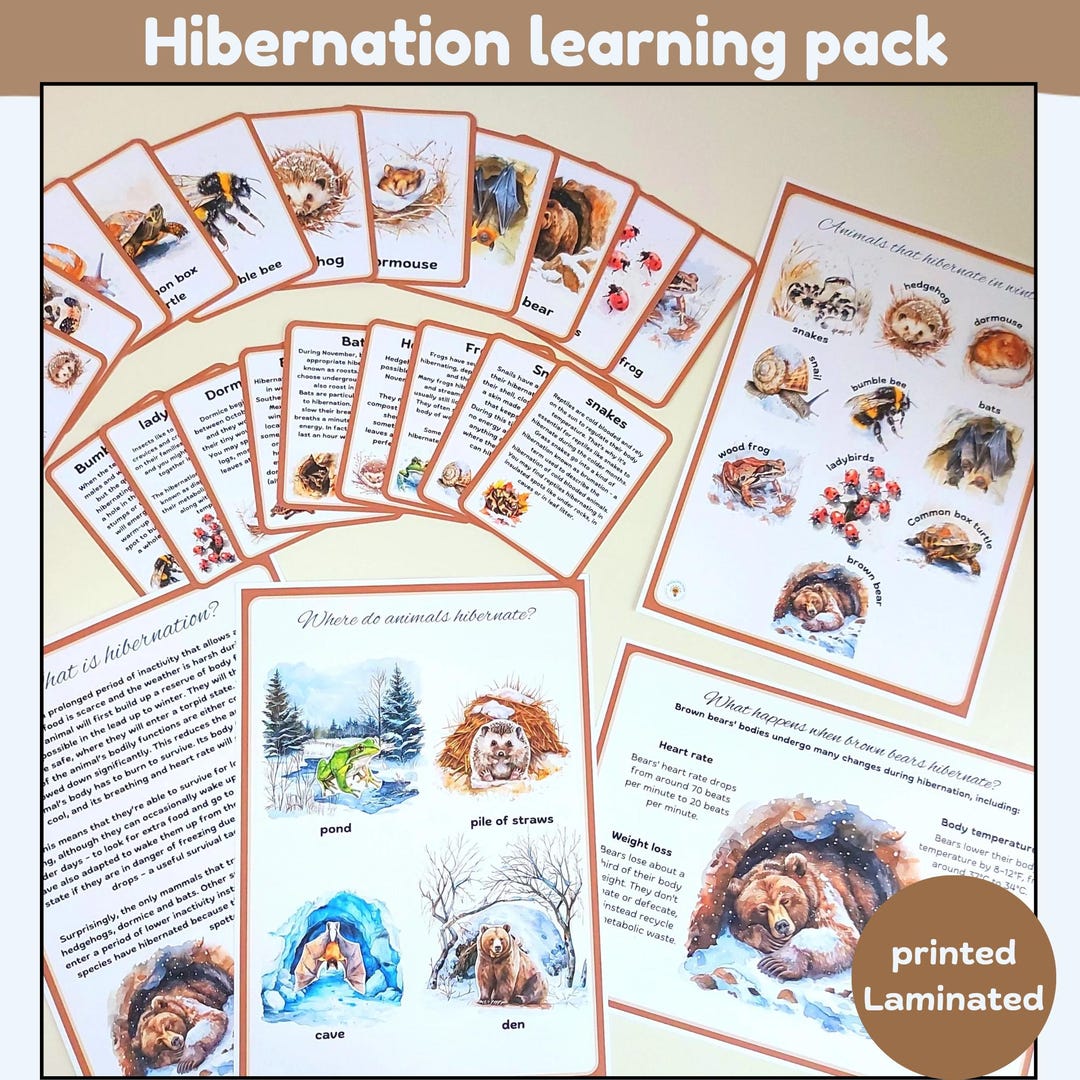 Hibernation Learning Pack | Winter | 20 Flashcards | A4 Posters and ...