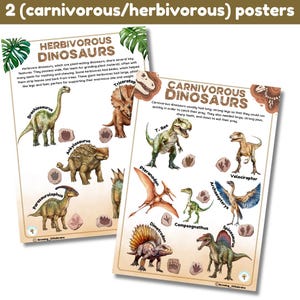 Dinosaurs Learning Pack | 14 Facts Flashcards | Dinosaurs | Carnivorous ...