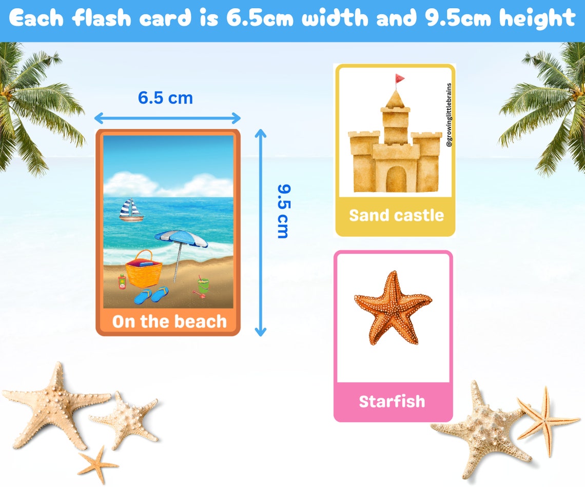 On the Beach Flash Cards | 24 Colourful Beach Flash Cards | Summer ...