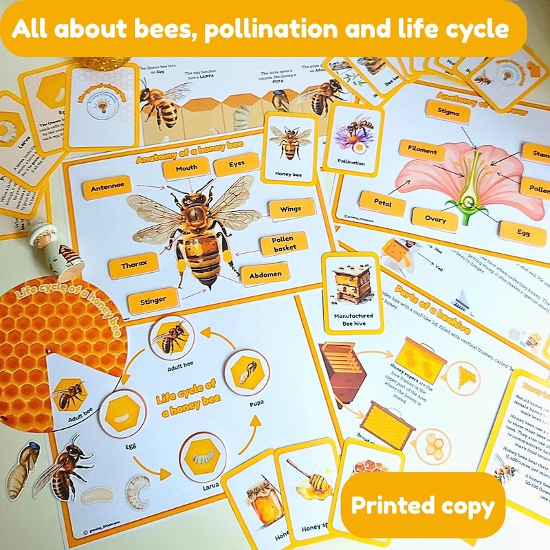 Pollinator Education - Etsy