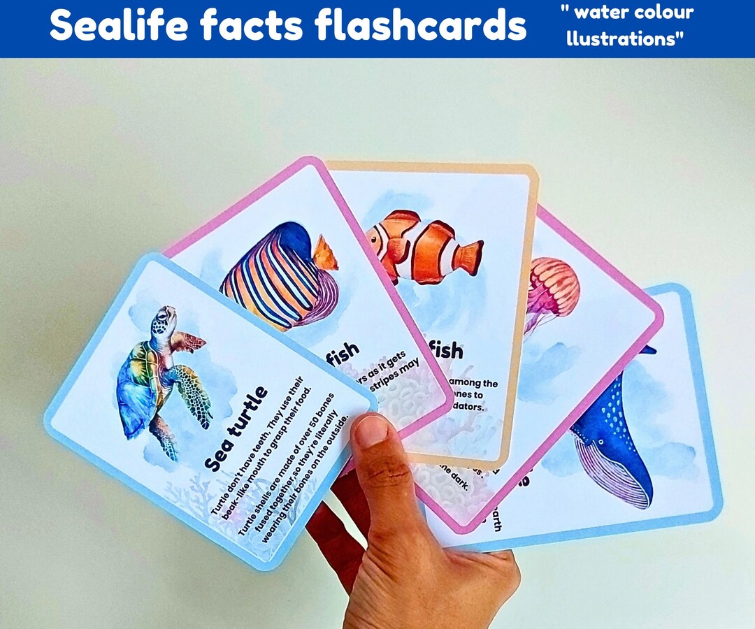 Sea Animals Facts Flashcards | Ocean Animals | Montessori Flashcards ...