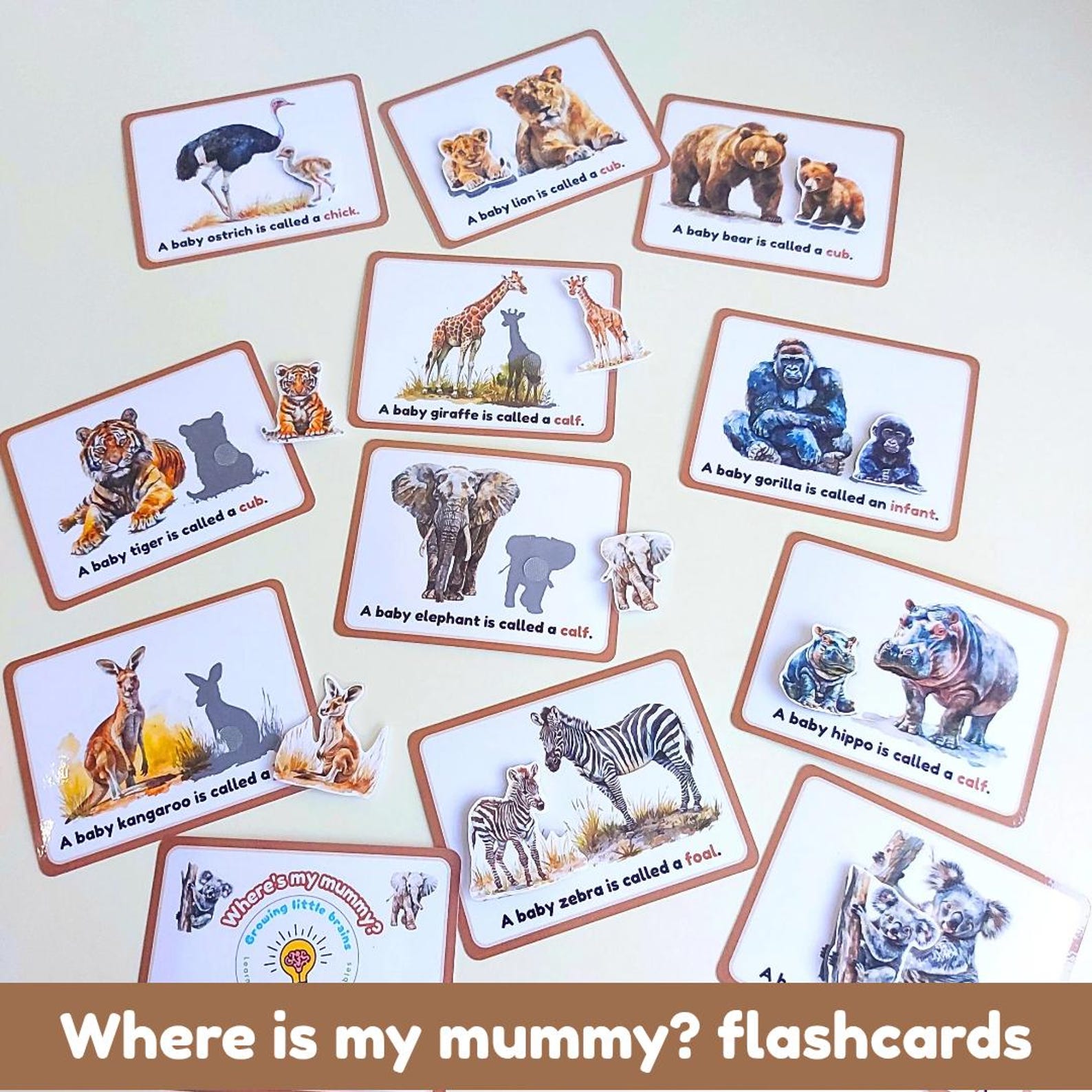 Wild Animals and Their Babies Learning Pack | Wild Animals | Flashcards ...