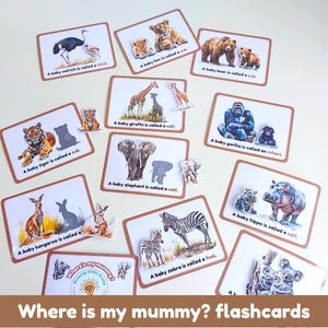 Wild Animals and Their Babies Learning Pack | Wild Animals | Flashcards ...