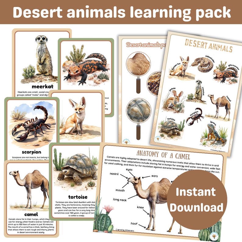 Desert Animals Learning Pack | 12 Facts Flashcards | Activity Sheets ...