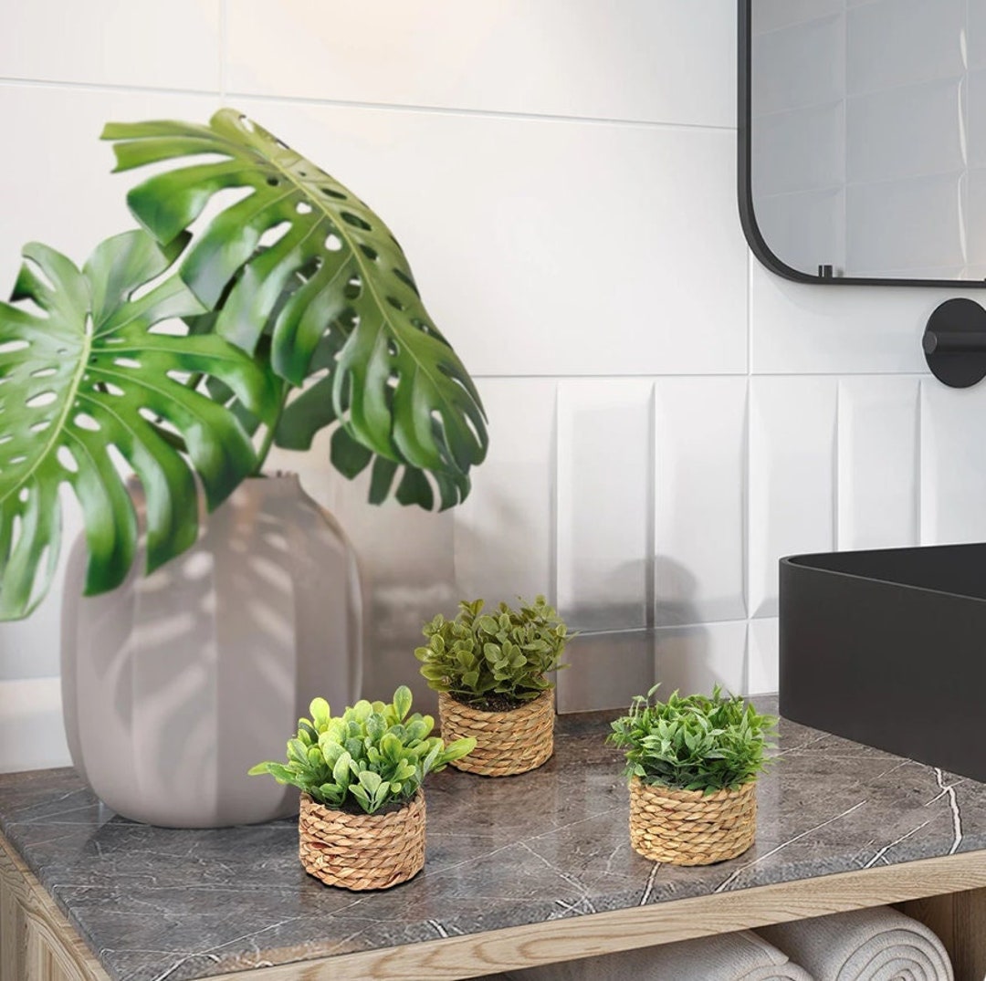 Artificial Green Sia Flower Plants Small Home Decor - Etsy