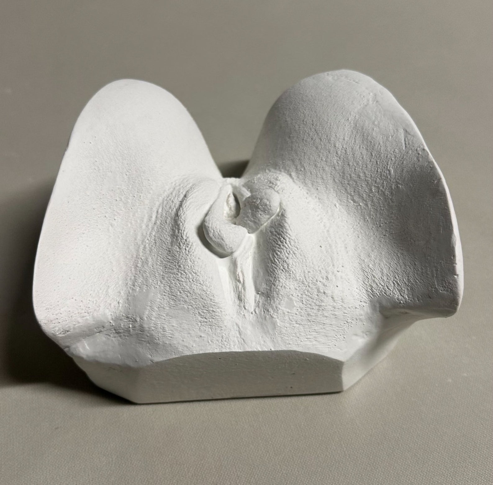 Vulva Cast of N.G. #2. Back View Life Cast “yoni” Sculpture Created by ...