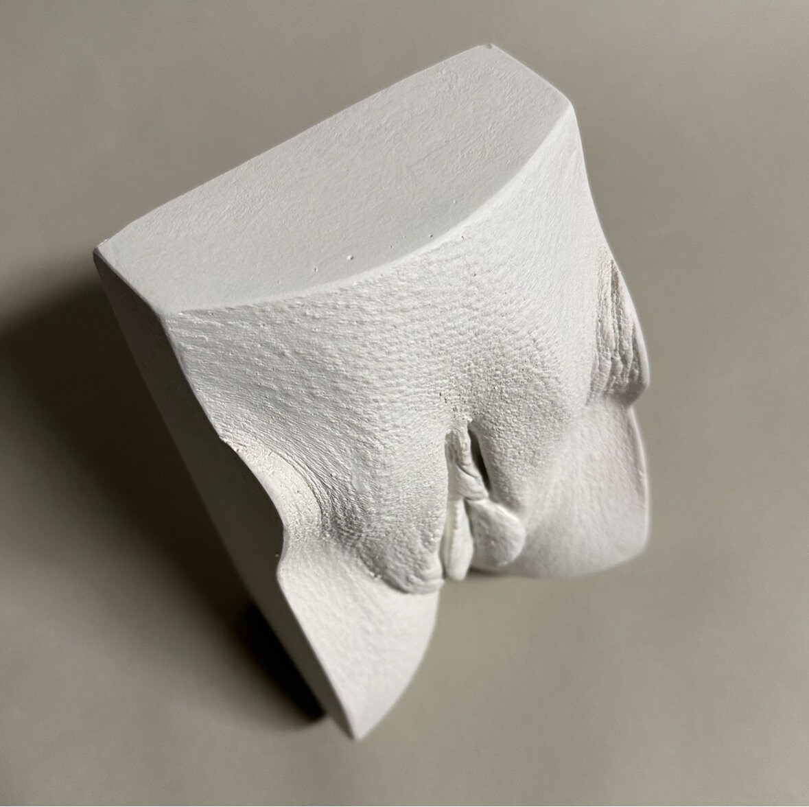 Vulva Cast of N.G. #1. Life Cast “yoni” Sculpture Created by a ...