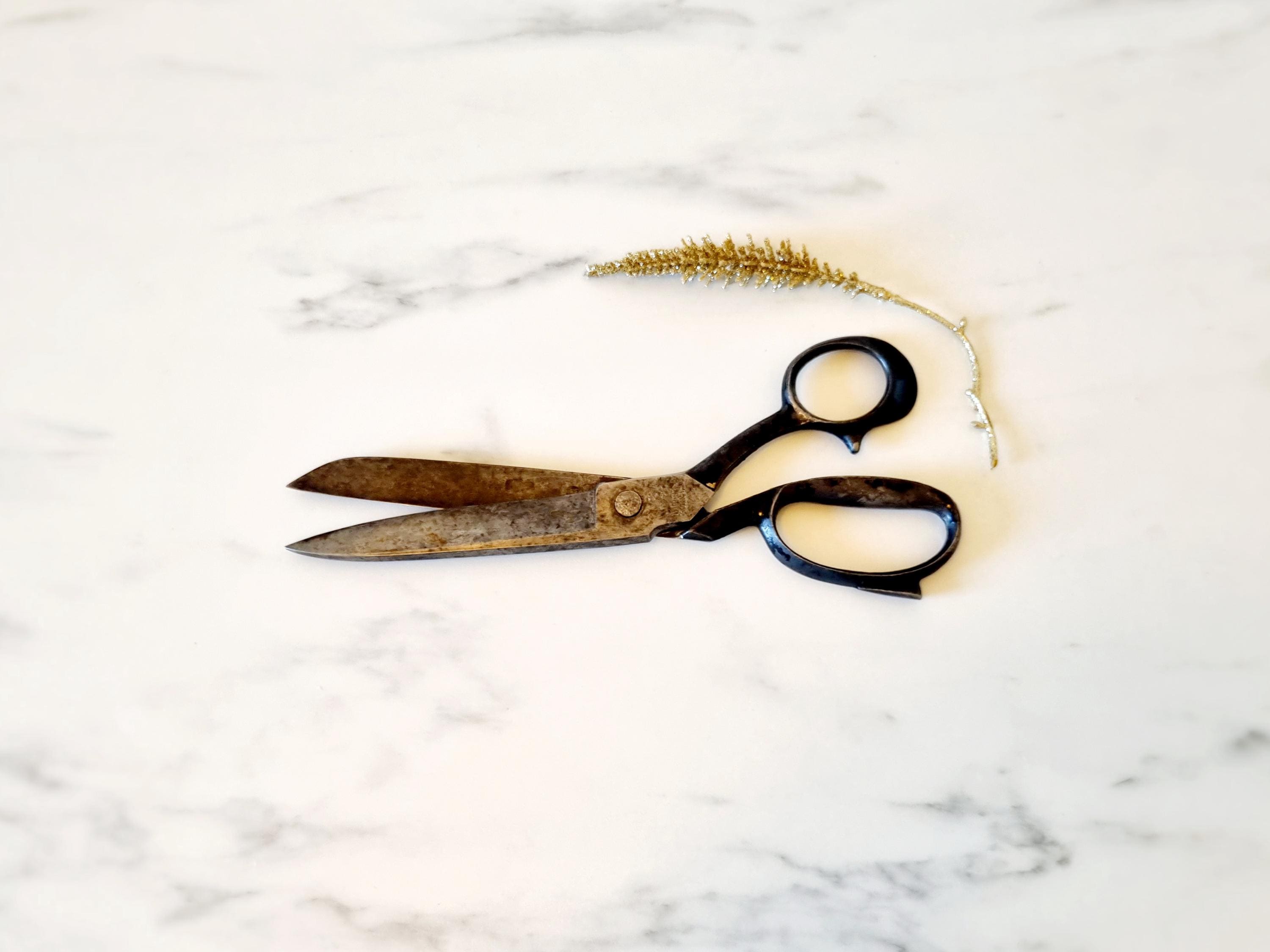 Antique D Peres Solingen Scissors: 1800s Tailor Tool - Etsy