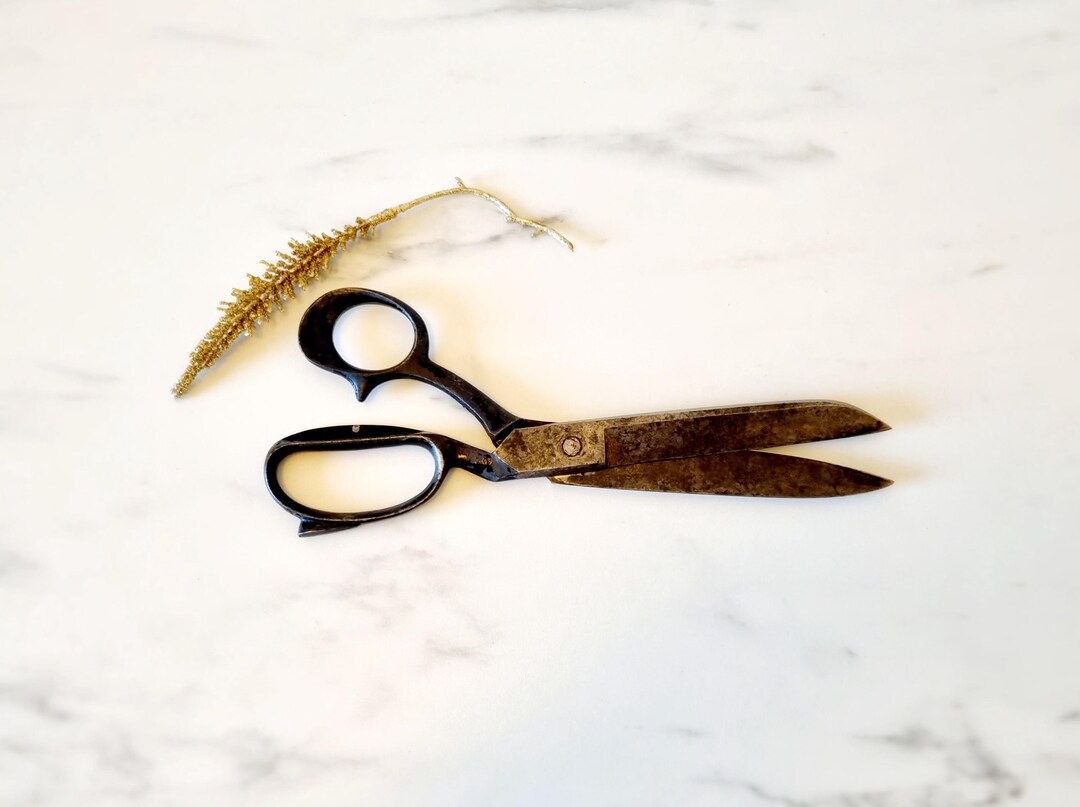 Antique D Peres Solingen Scissors: 1800s Tailor Tool - Etsy