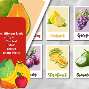 32 Fruit Cards for Toddlers, Printable Fruits Flashcards Watercolor ...