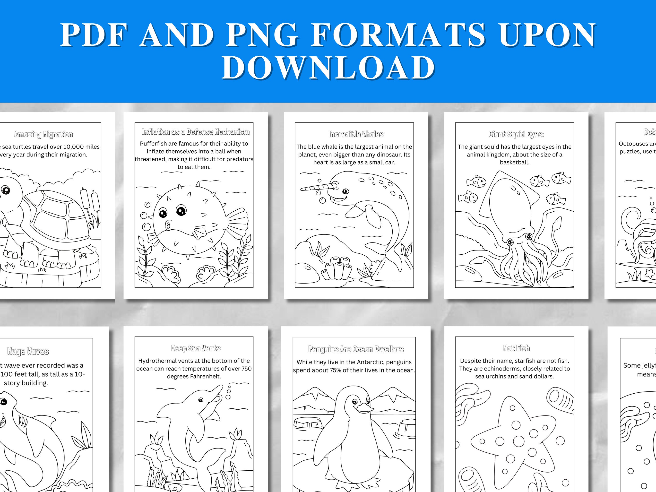 Sea Animals Coloring Pages for Kids, Activity Worksheets for Birthday ...