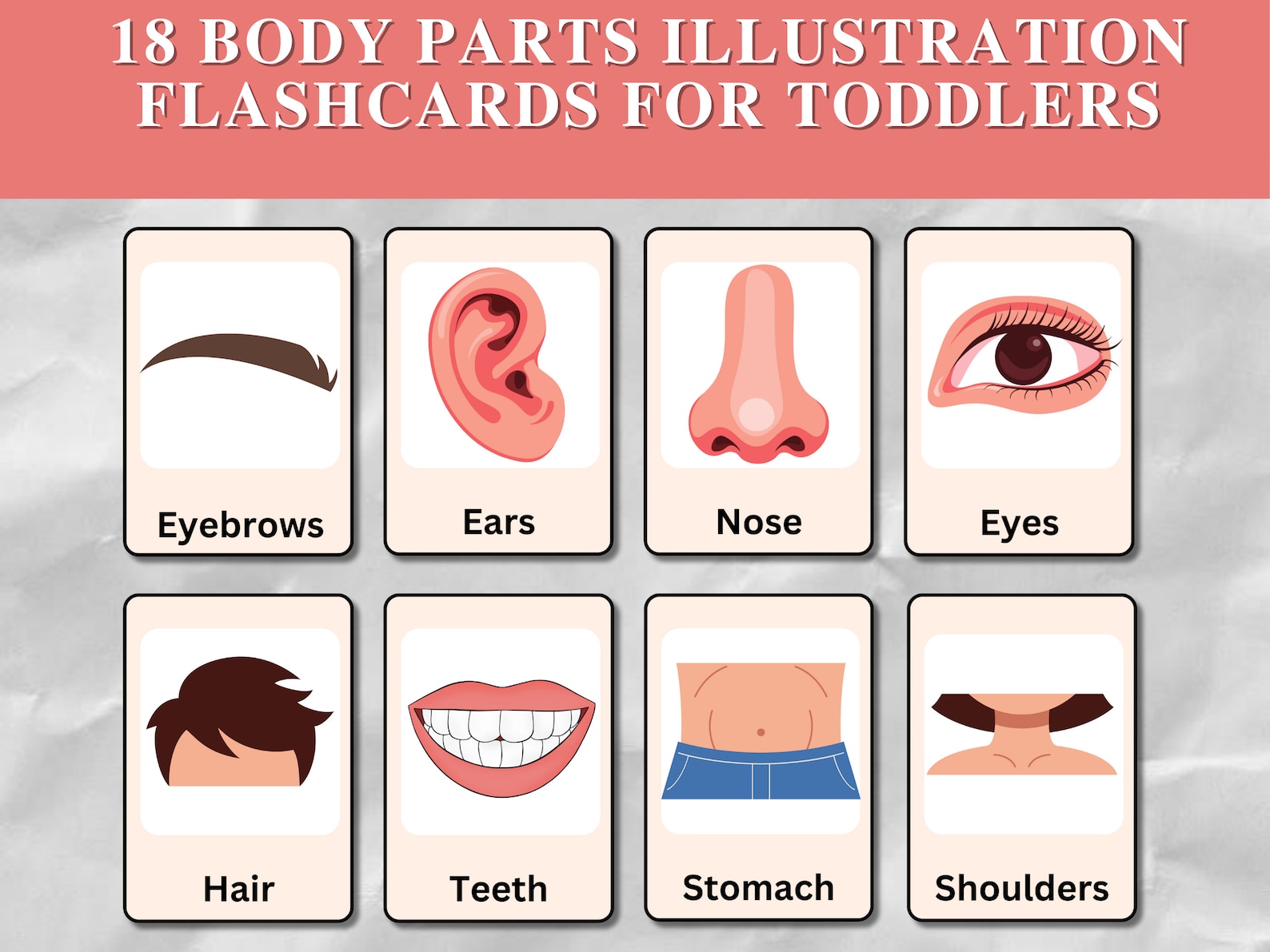 Body Parts Flashcards for Kids, Montessori Cards, Easy Science Activity ...