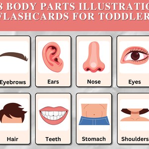 Body Parts Flashcards for Kids, Montessori Cards, Easy Science Activity ...