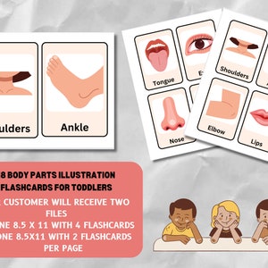 Body Parts Flashcards for Kids, Montessori Cards, Easy Science Activity ...