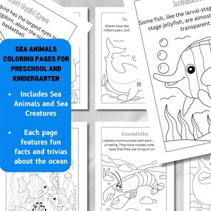 Sea Animals Coloring Pages for Kids, Activity Worksheets for Birthday ...