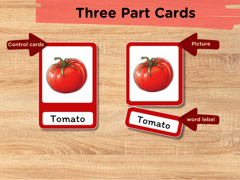 40 Vegetable Flashcards and Word Label - Etsy