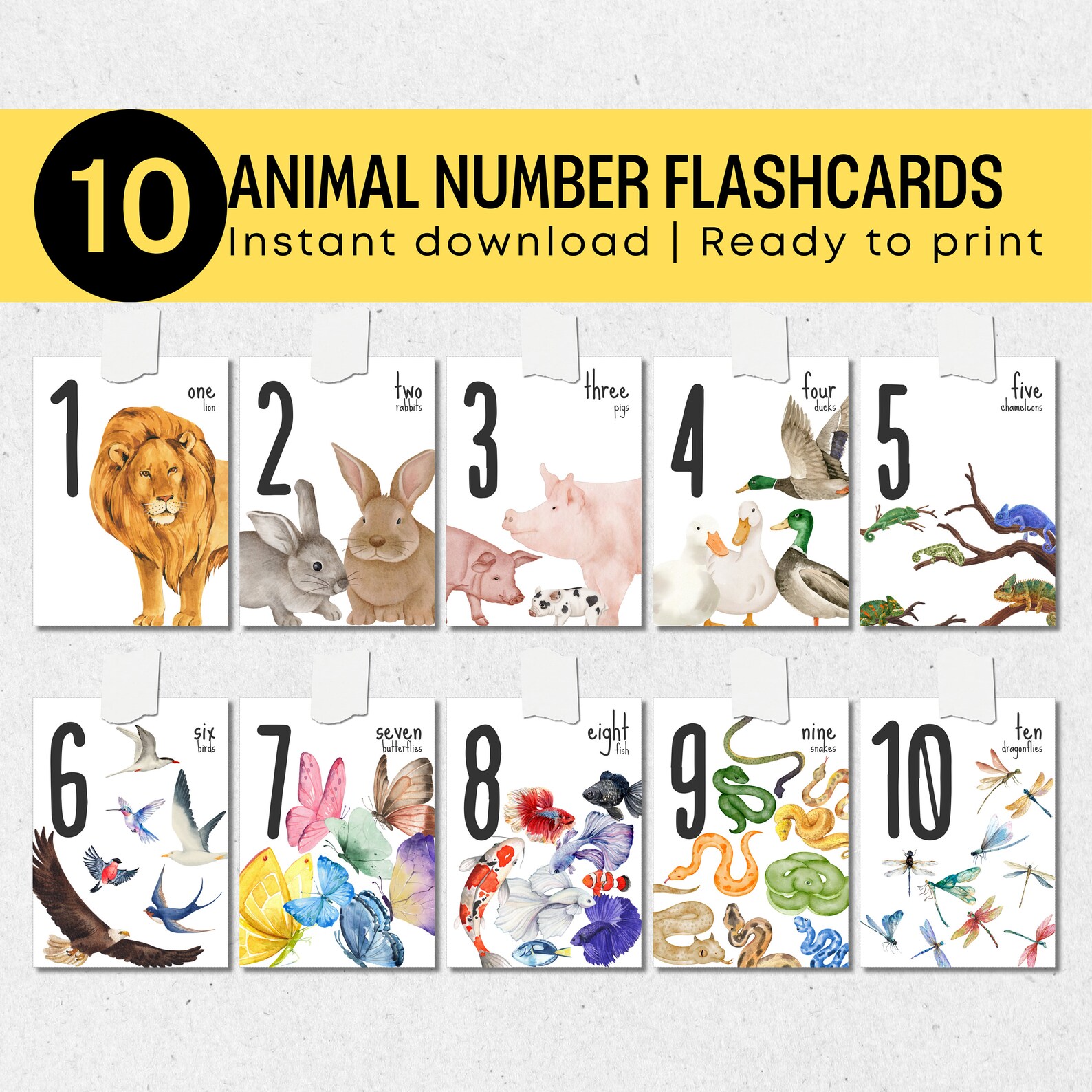 Animals Printable Flashcards Counting Number Cards Homeschool ...