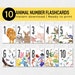 Animals Printable Flashcards Counting Number Cards Homeschool ...