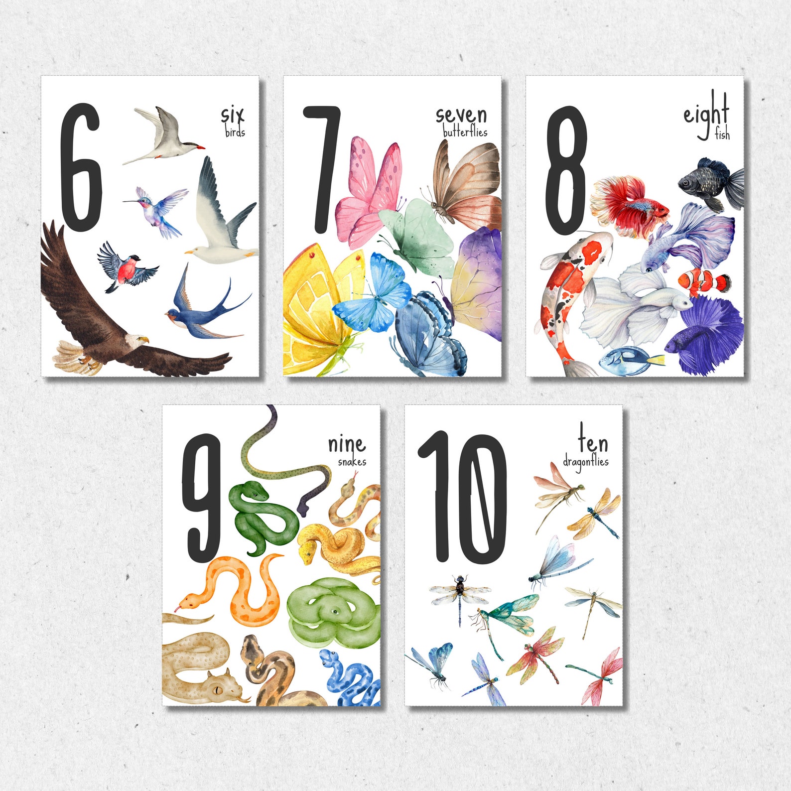 Animals Printable Flashcards Counting Number Cards Homeschool ...